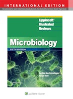 Lippincott Illustrated Reviews Series - Wolters Kluwer